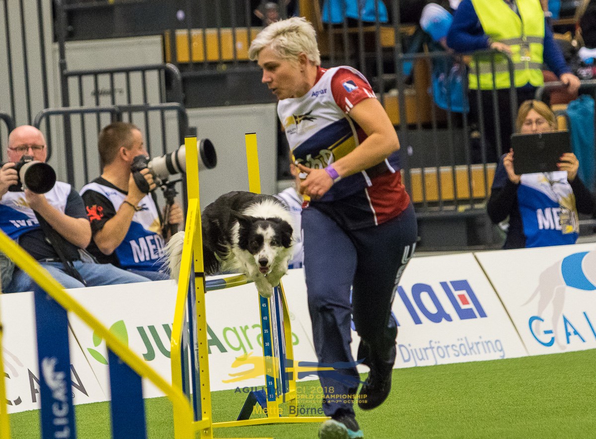 Episode 14: Goals, Goal Setting, and Keeping Secrets - The Agility ...