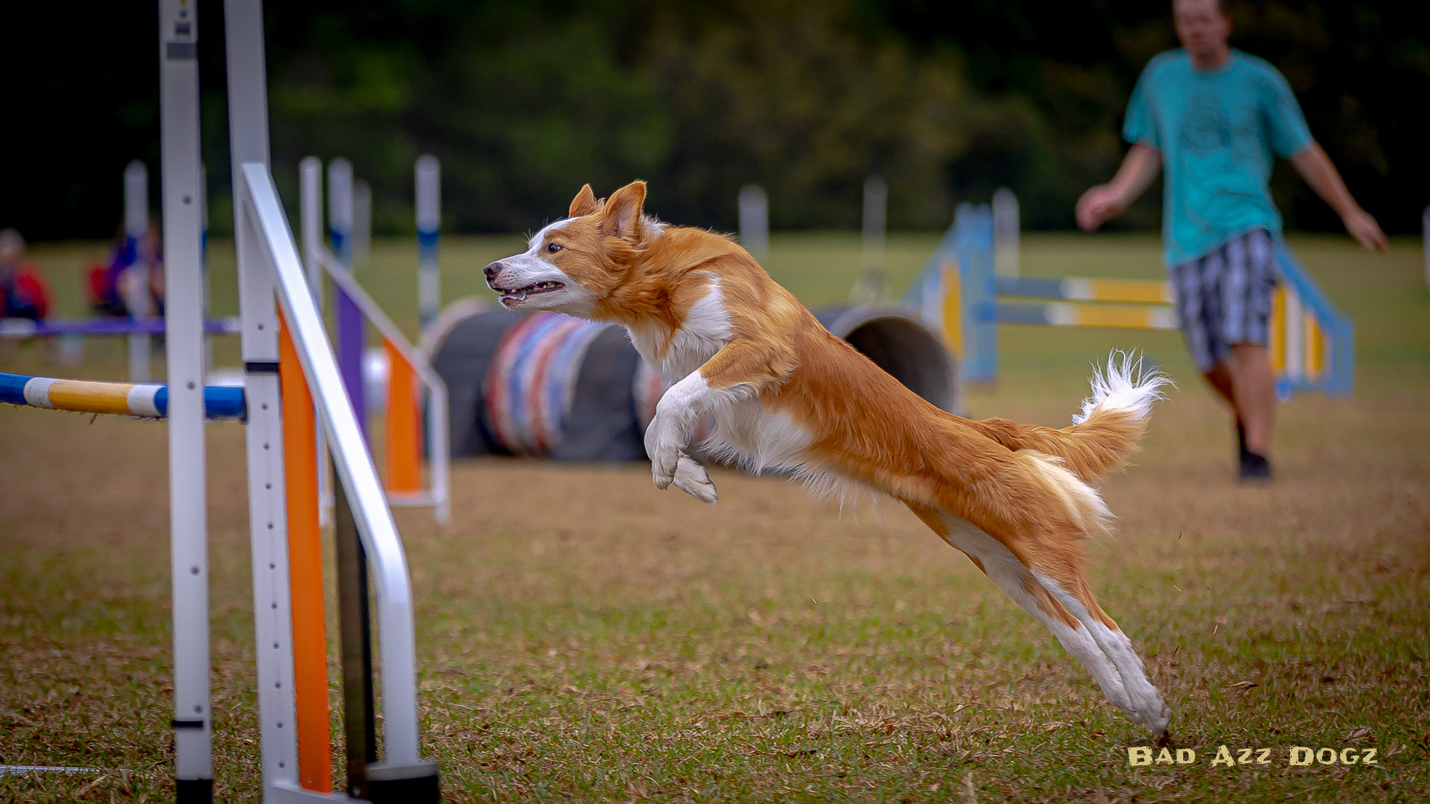 Episode #13: Where to start when you're starting, and what makes an ...