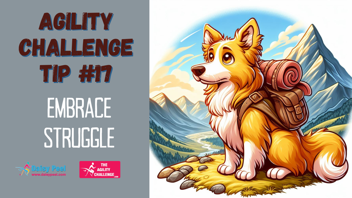 Agility Challenge Tip #17 - Embrace Struggle - The Agility Challenge ...