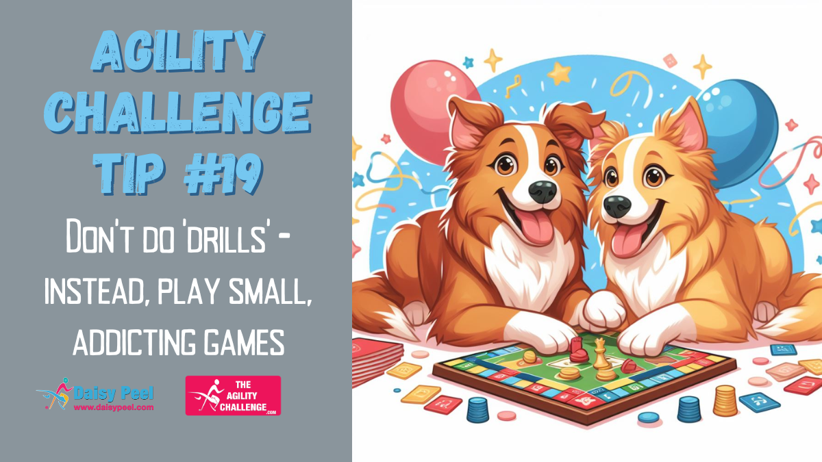 Agility Challenge Tip #19 - Don't do 'drills' - instead, play small ...